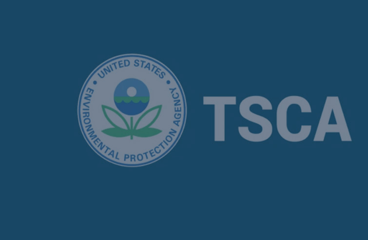 TSCA Section 6(h)